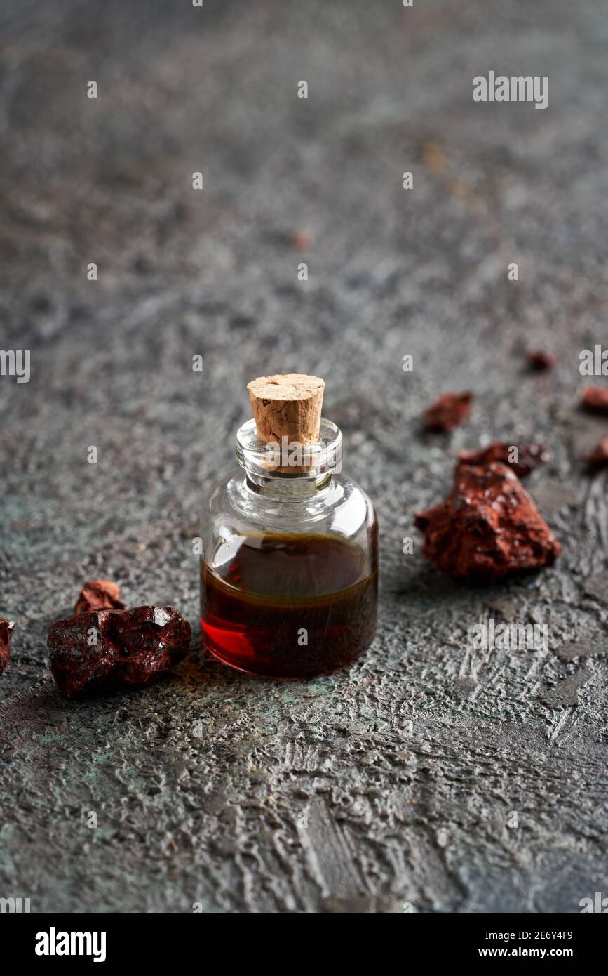 A bottle of croton lechleri, or sangre de drago oil with resin, with ...