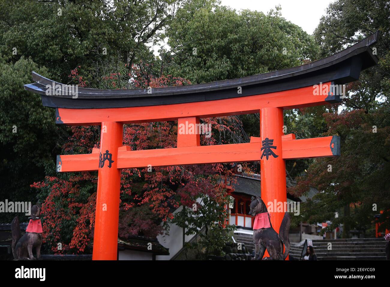 The red torii gates walkway path at fushimi inari taisha shrine the one ...