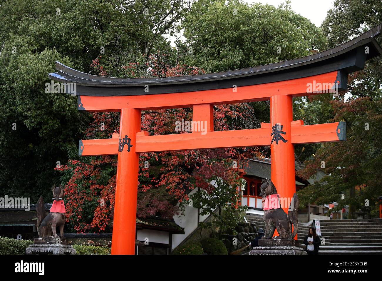 The red torii gates walkway path at fushimi inari taisha shrine the one ...