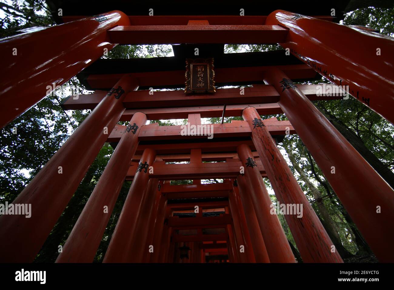 The red torii gates walkway path at fushimi inari taisha shrine the one ...