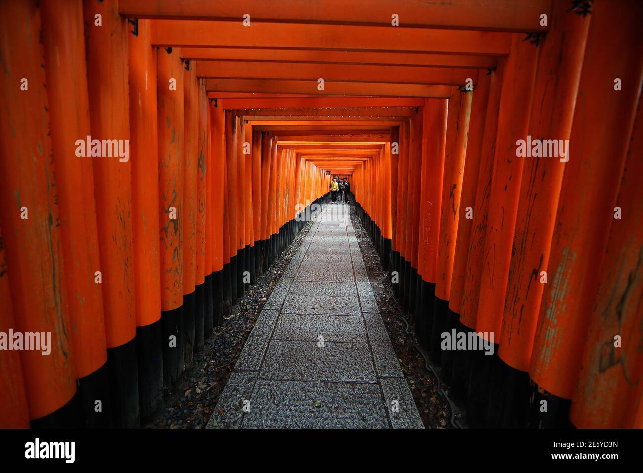 Wooden Gates High Resolution Stock Photography and Images - Alamy