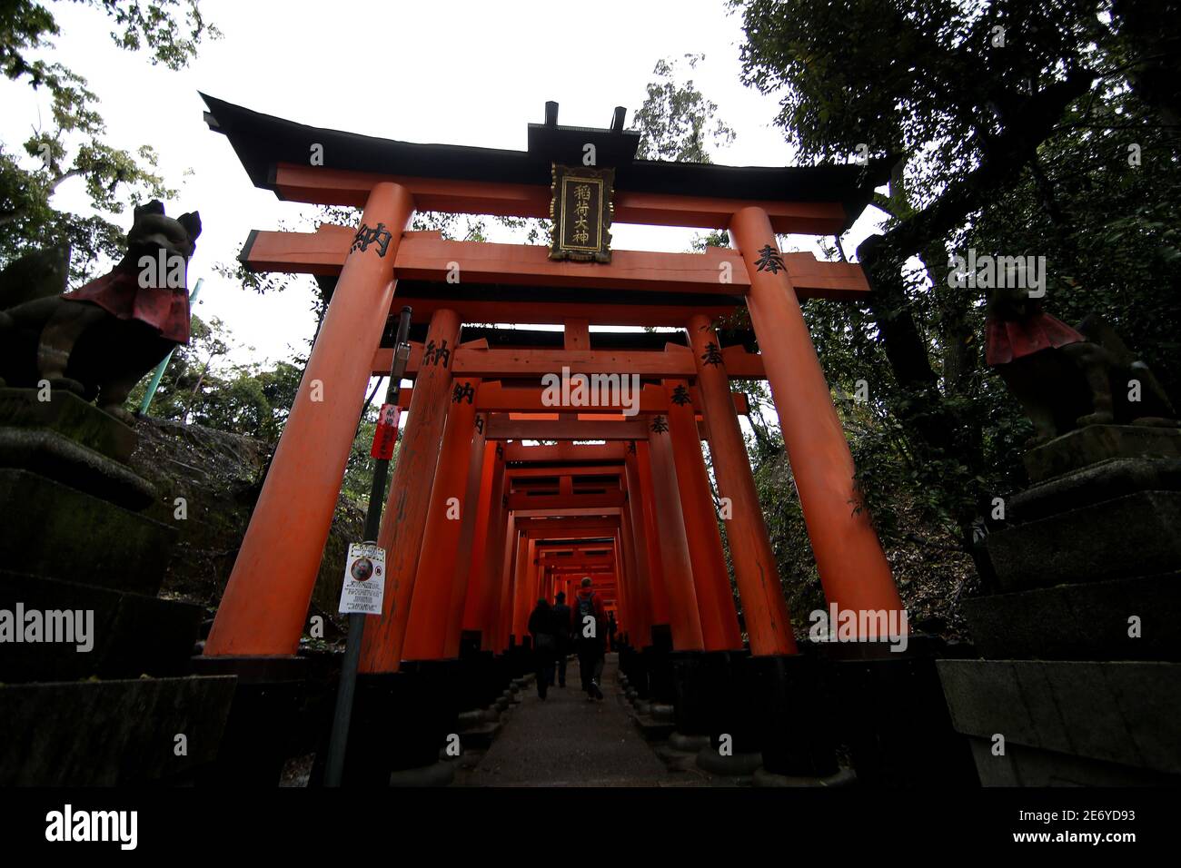 Geisha kyoto gates hi-res stock photography and images - Alamy
