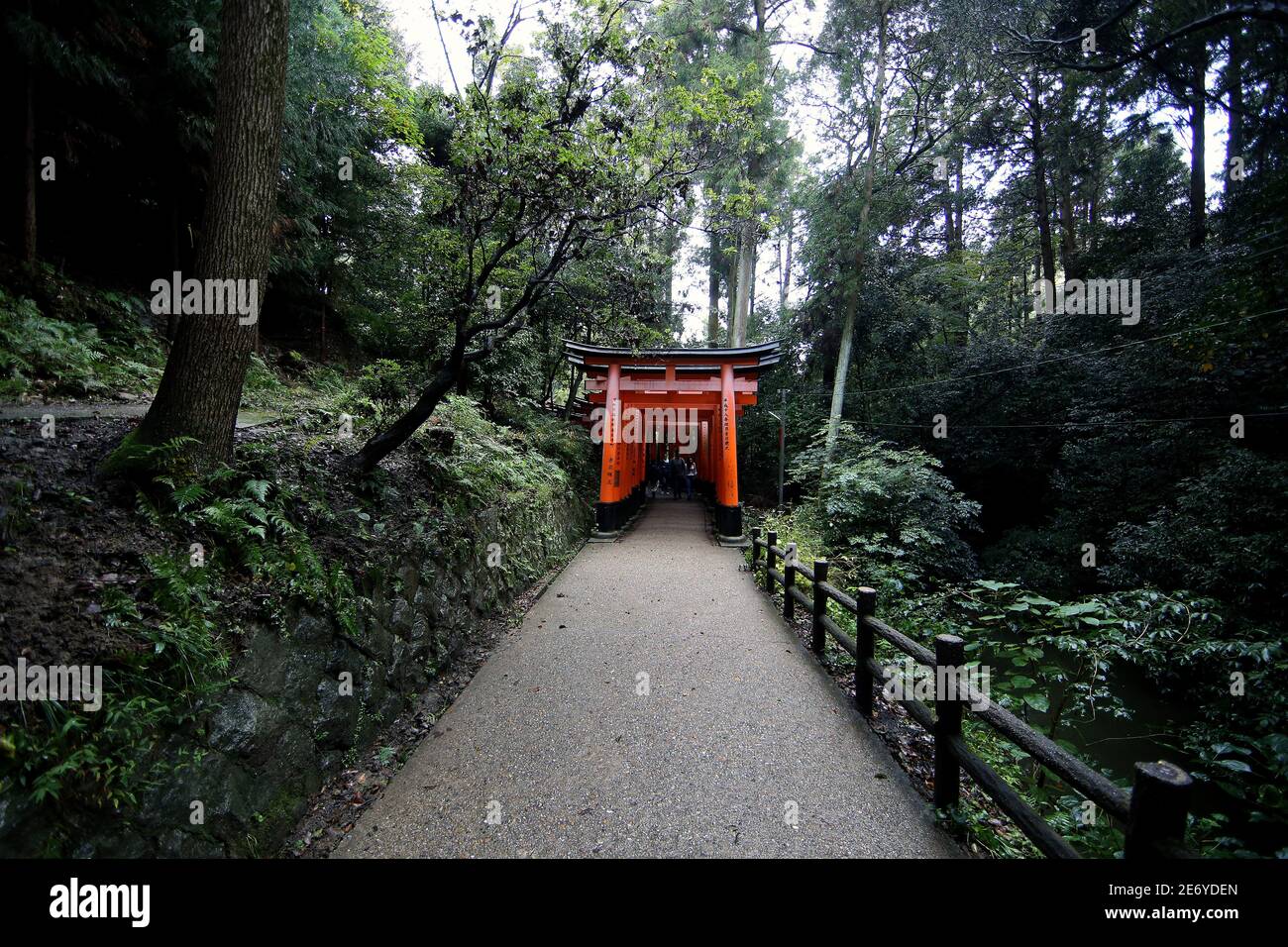 The red torii gates walkway path at fushimi inari taisha shrine the one ...