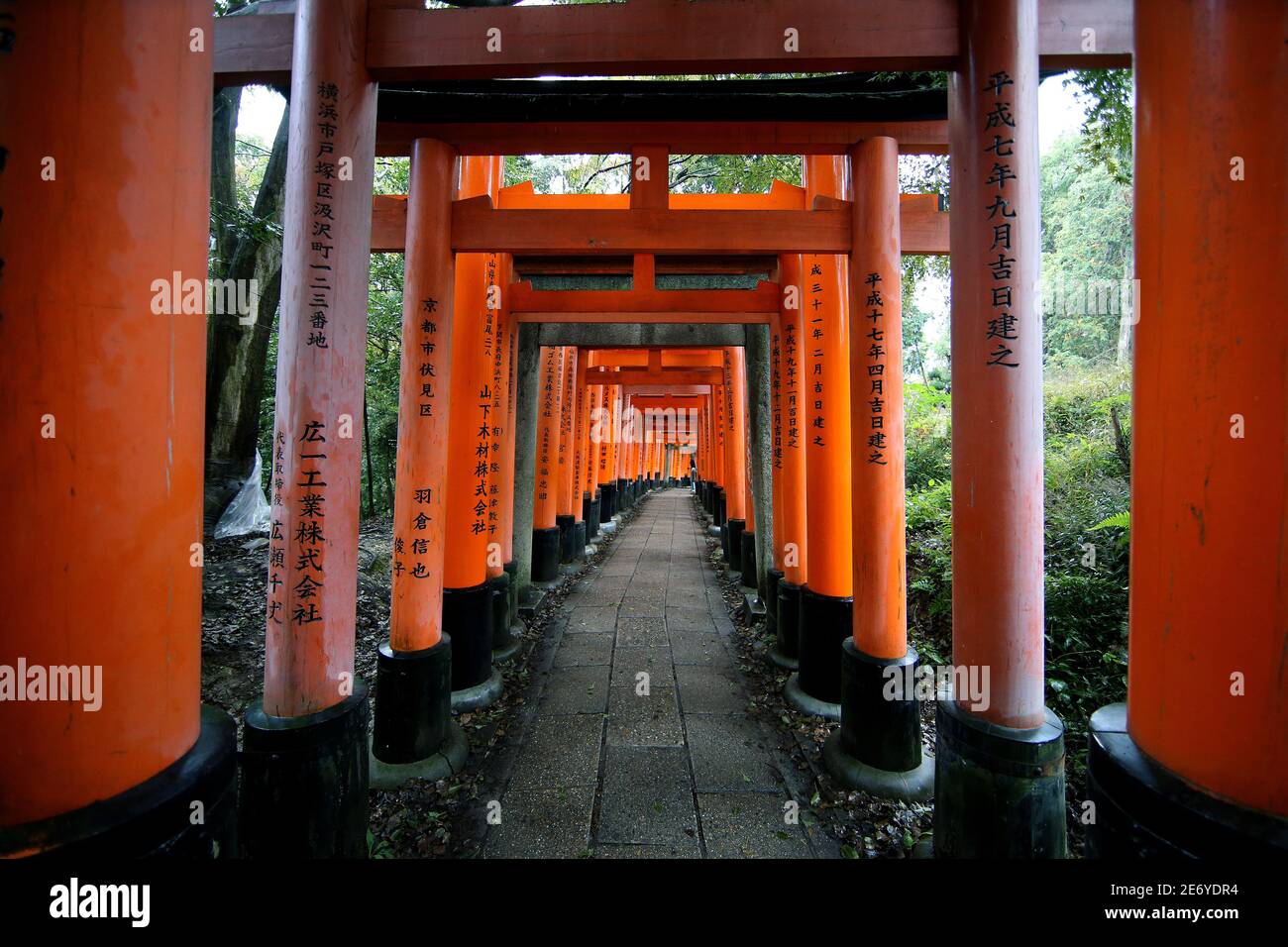 The red torii gates walkway path at fushimi inari taisha shrine the one ...