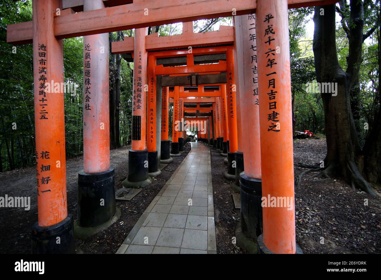 The red torii gates walkway path at fushimi inari taisha shrine the one ...