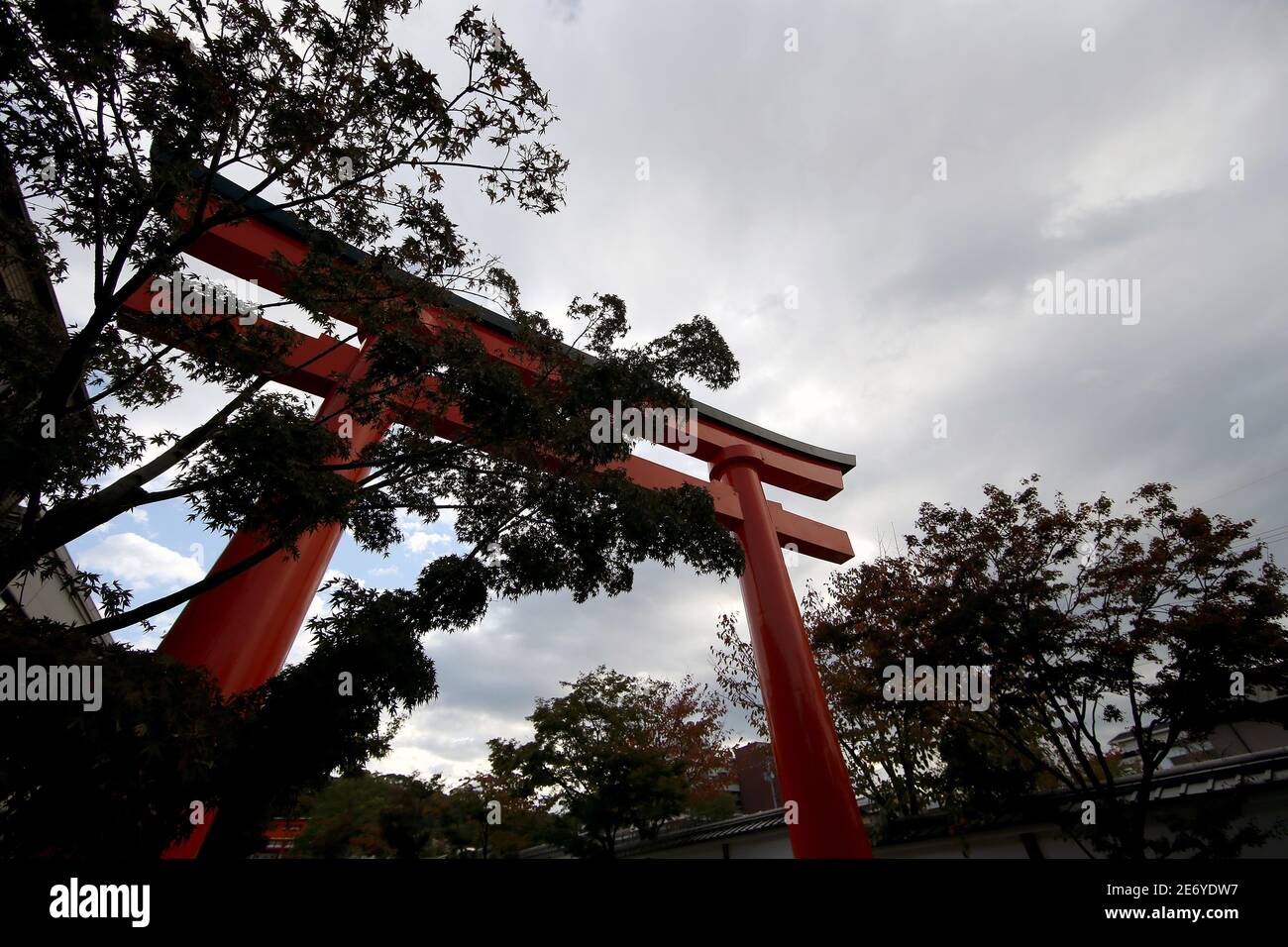 The red torii gates walkway path at fushimi inari taisha shrine the one ...