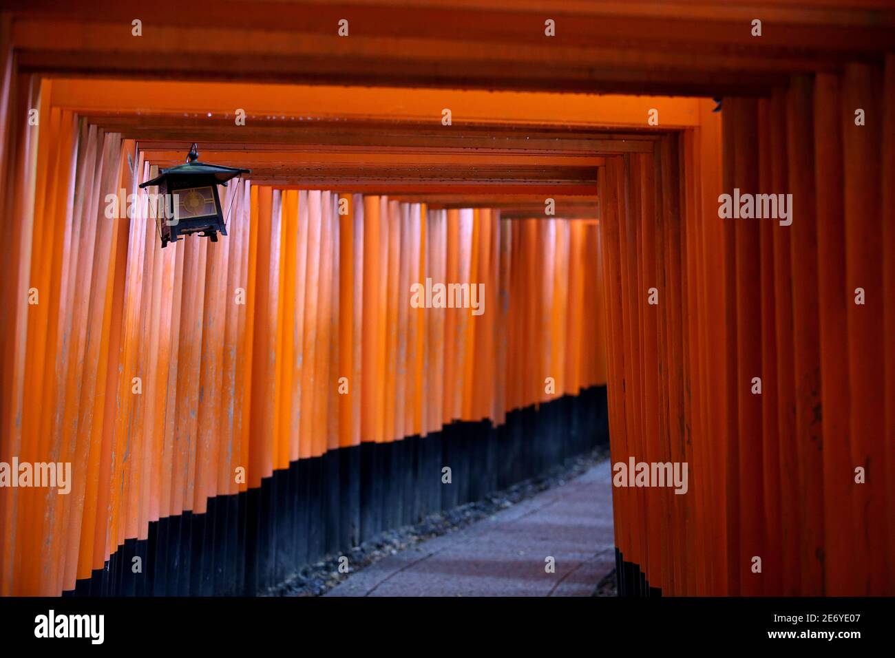 Wooden Gates High Resolution Stock Photography and Images - Alamy