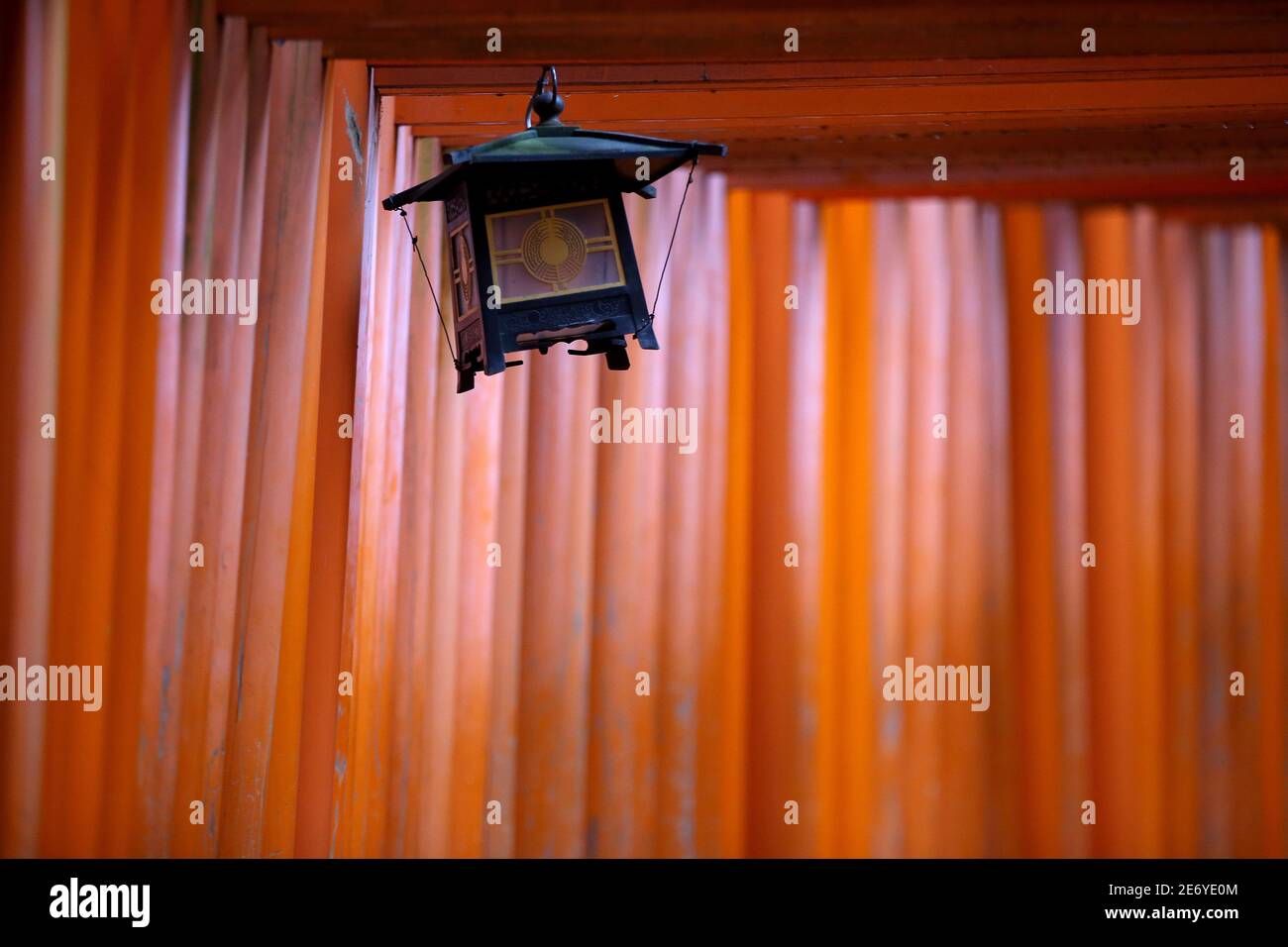 The red torii gates walkway path at fushimi inari taisha shrine the one ...