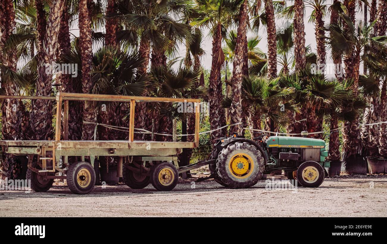 Truck outdoors with palm trees in the background Stock Photo - Alamy