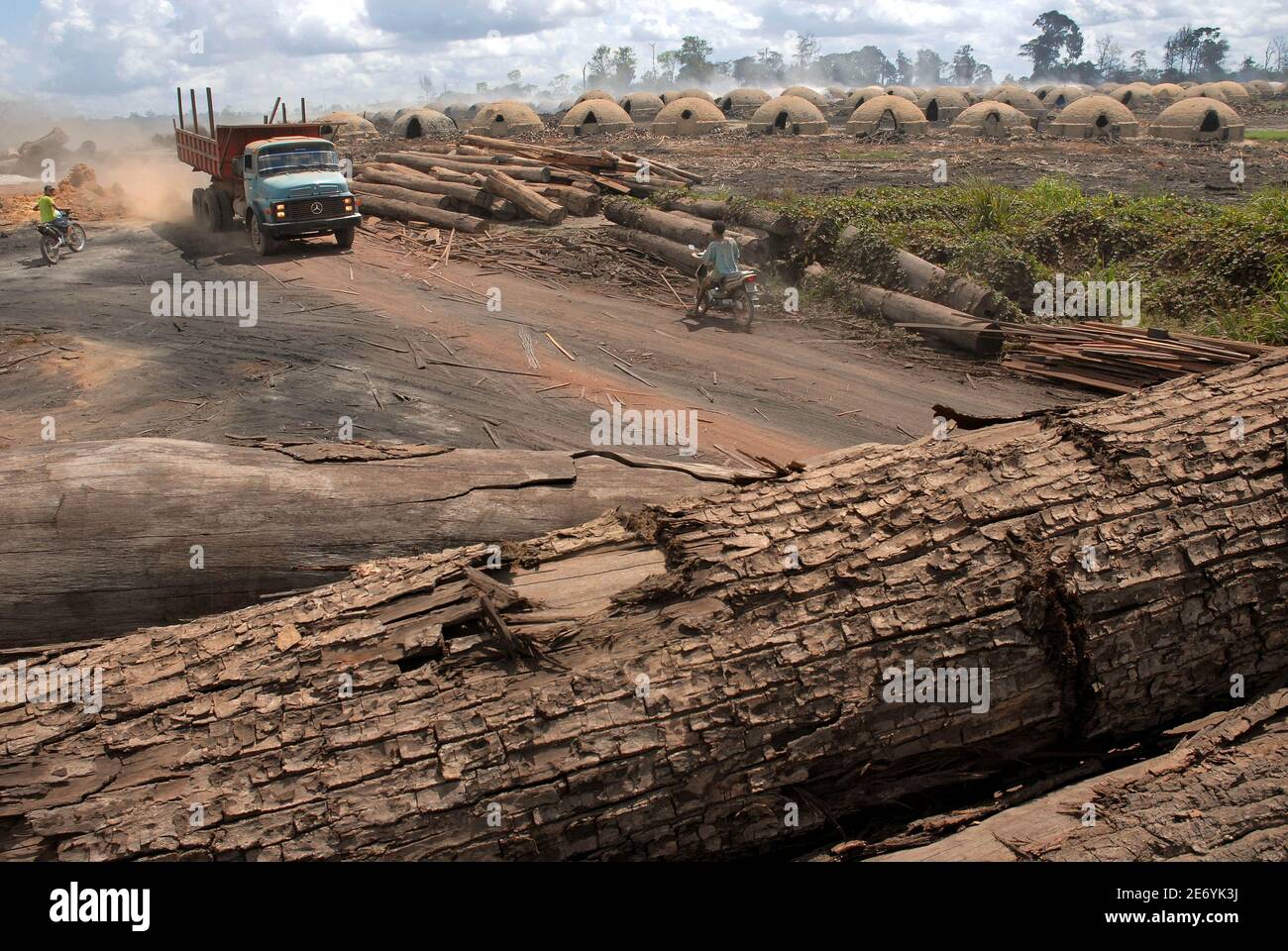 Amazon Rainforest Deforestation Logs High Resolution Stock Photography ...