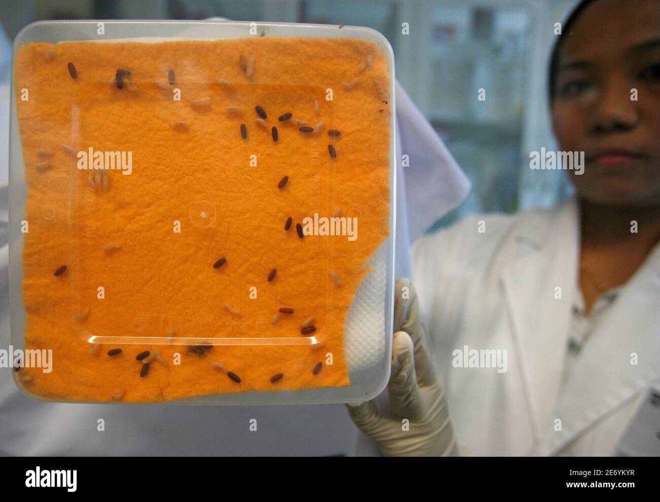 Anti microbial hi-res stock photography and images - Alamy