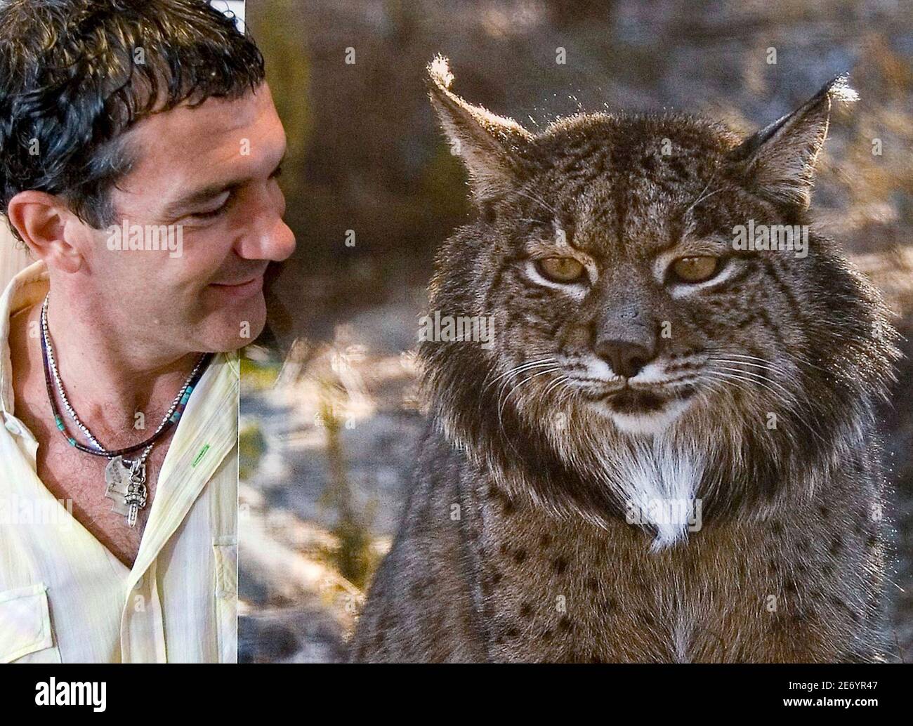 Animated film poster hi-res stock photography and images - Alamy