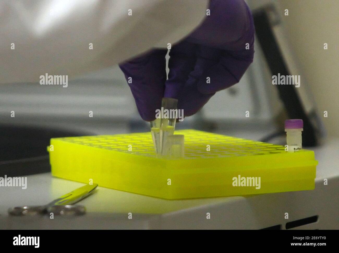 Human tests hi-res stock photography and images - Alamy