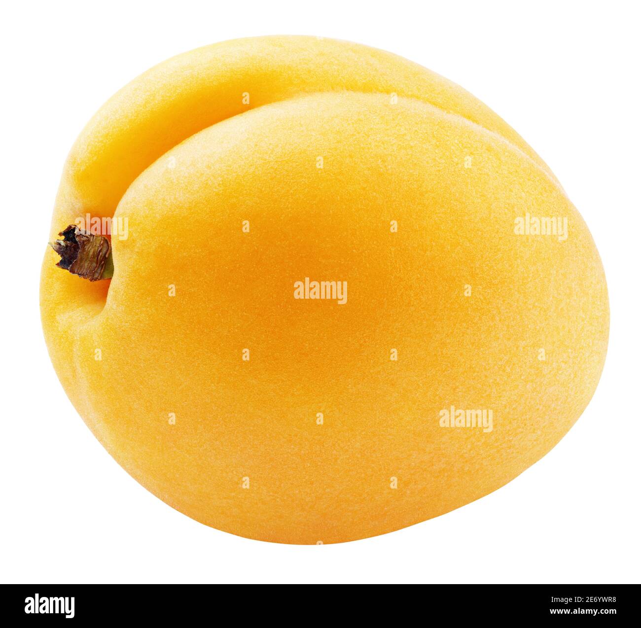 Single apricot or yellow plum isolated on white background. Apricot ...