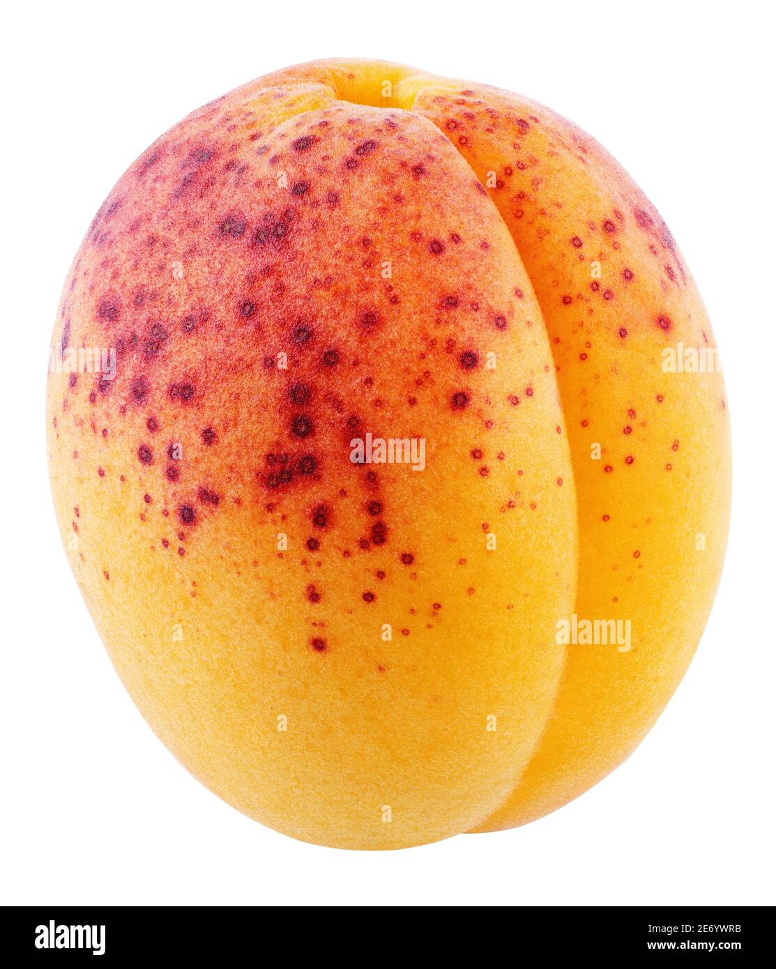 Single apricot fruit without leaf isolated on white background with ...
