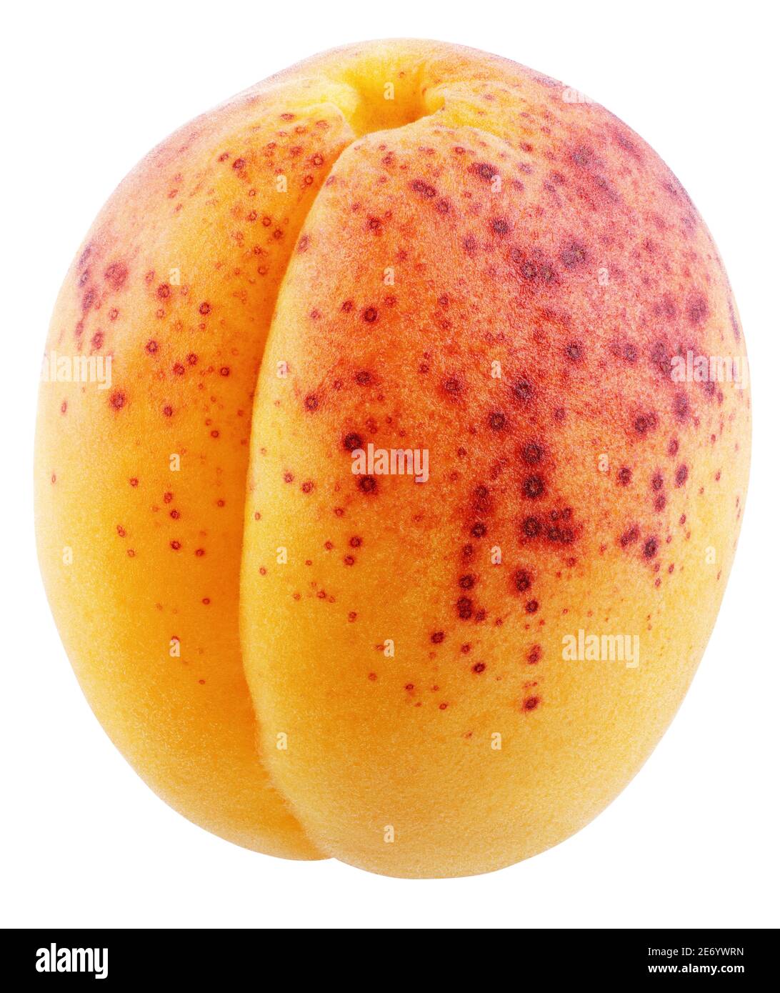 Single apricot fruit isolated on white background with clipping path ...