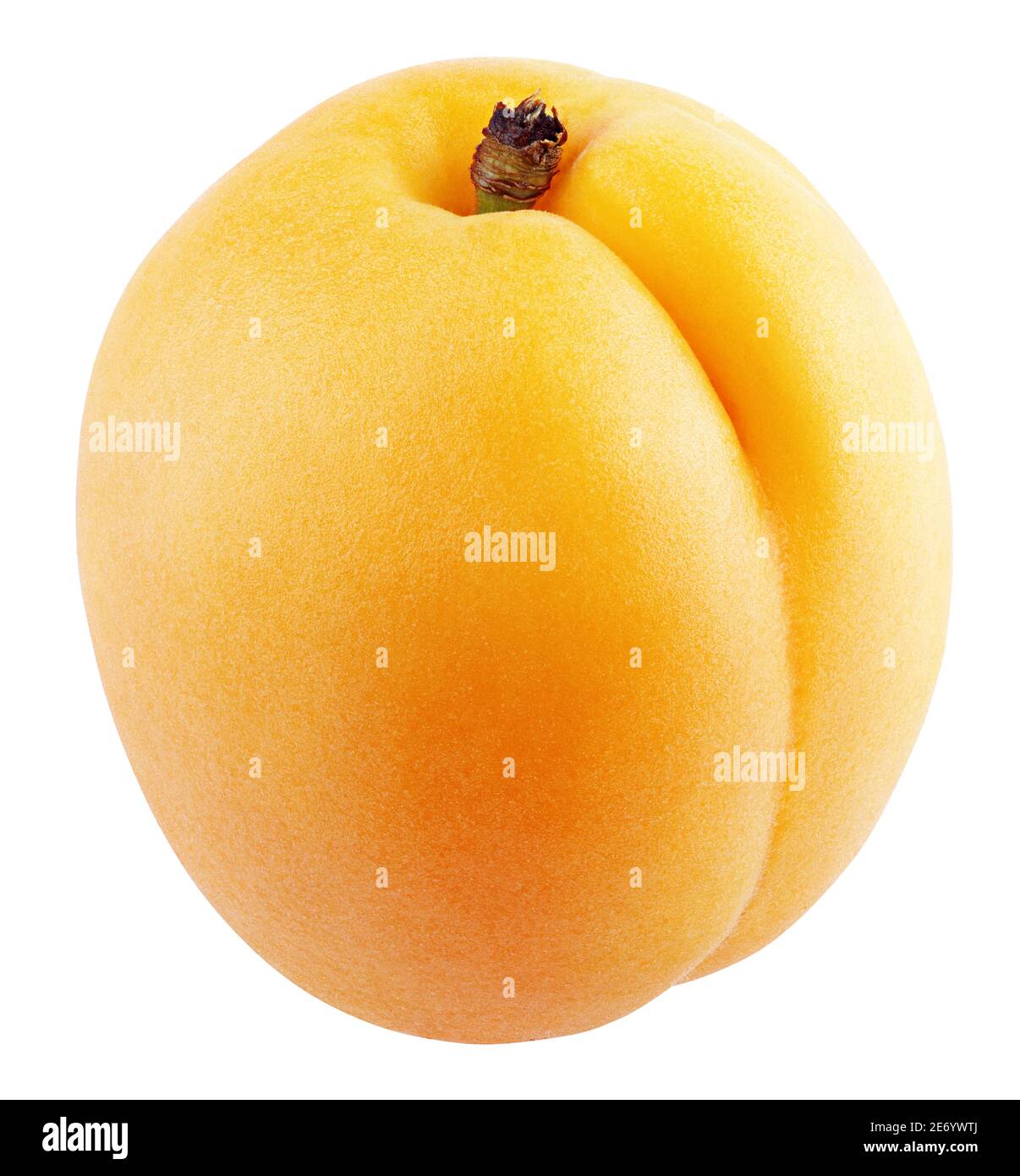 Single apricot or yellow plum isolated on white background. Apricot ...