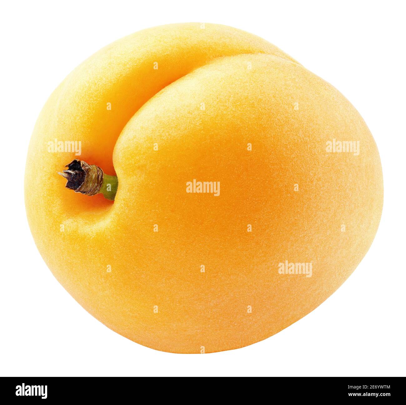 Single apricot or yellow plum isolated on white background. Apricot ...