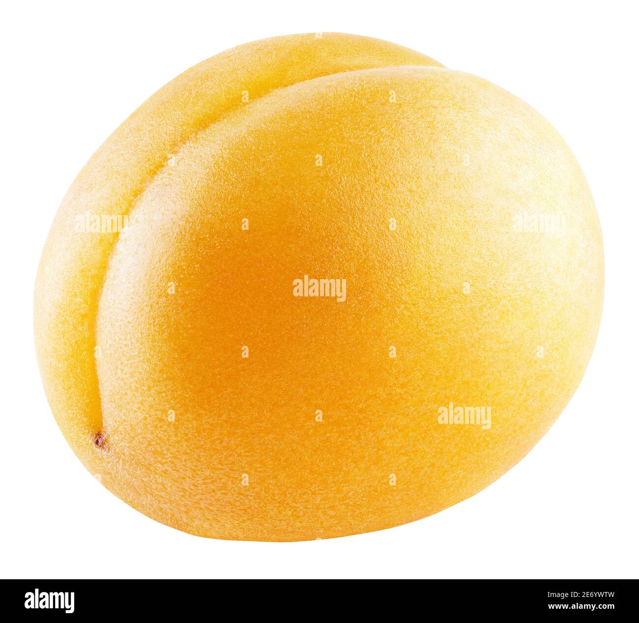 Single apricot or yellow plum isolated on white background. Apricot ...
