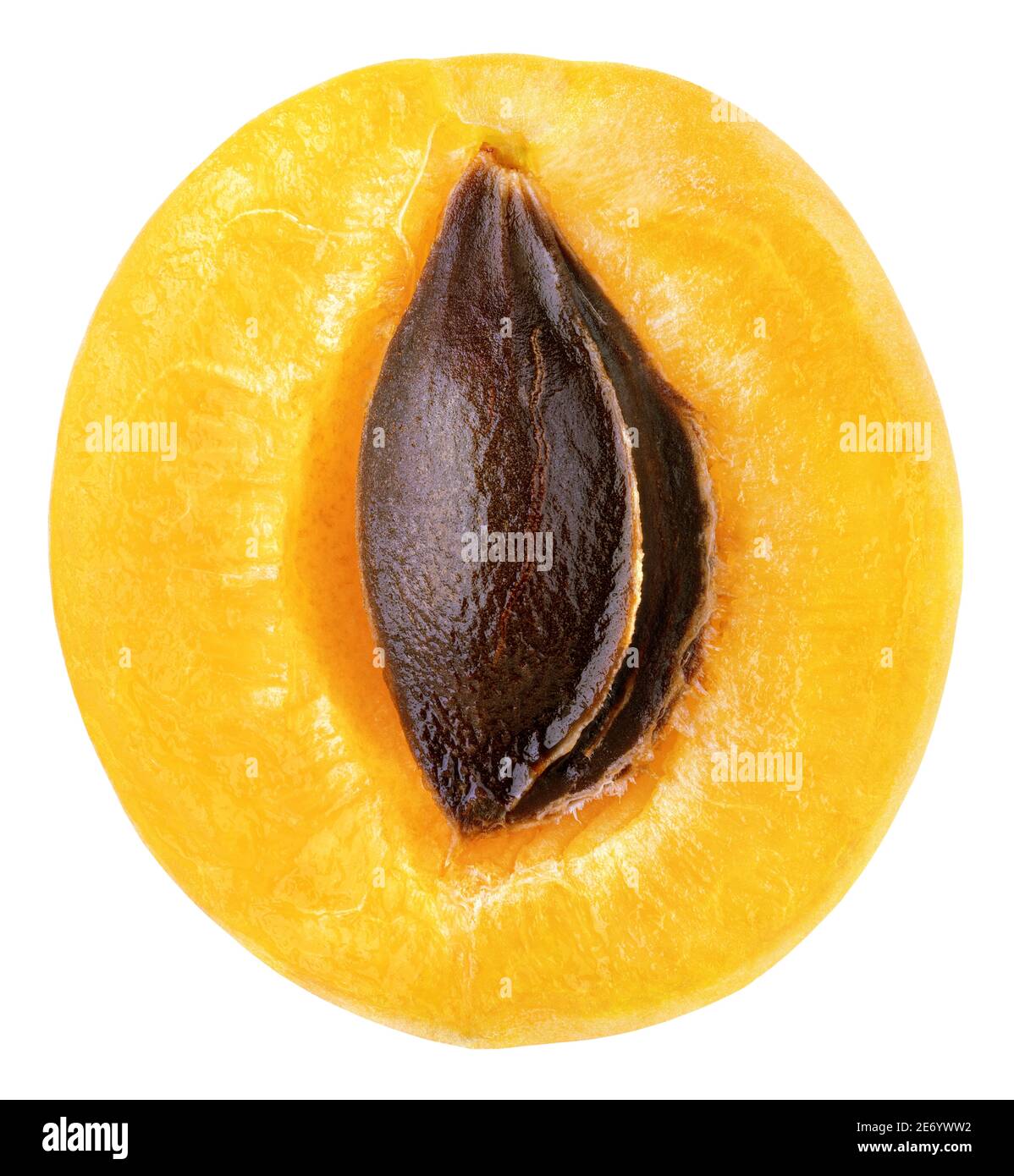 Apricot half or yellow plum with kernel isolated on white background ...