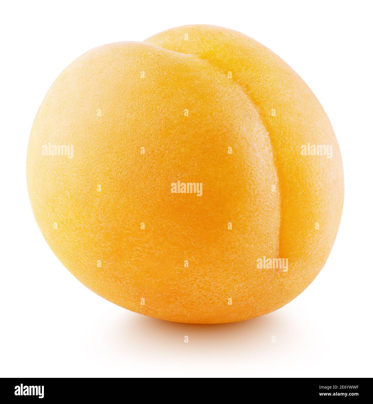 Single apricot or yellow plum isolated on white background. Apricot ...