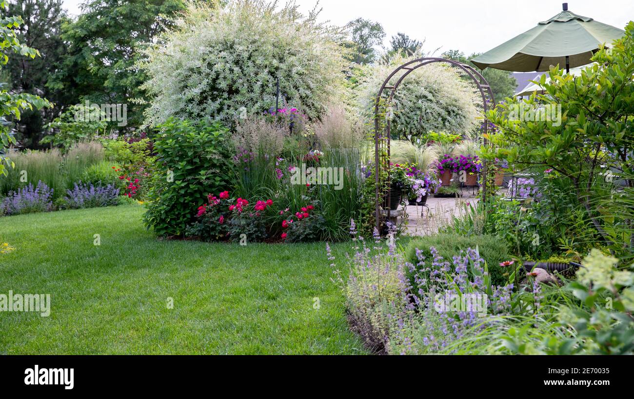 Tranquil scene of a Japanese ornamental willow tree, Variegated in full ...