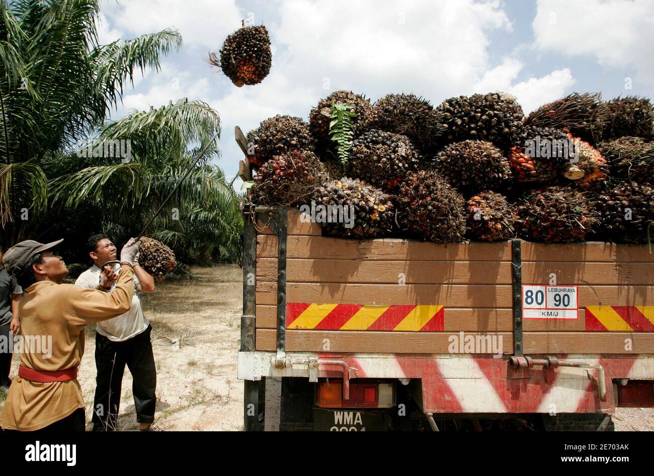 Palm oil crude oil hi-res stock photography and images - Alamy