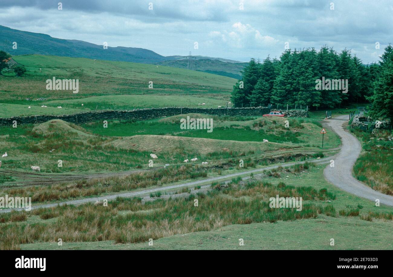 Ruins of Roman fort Tomen y Mur in Snowdonia, Wales. Amphitheatre ...