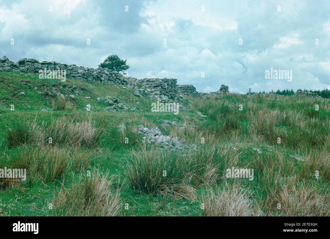 Ruins of Roman fort Tomen y Mur in Snowdonia, Wales. East corner of the ...