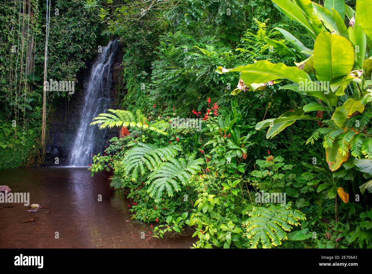 February 2020 - Fautaua waterfall. Les Rivières de Tahiti. Fauoro river ...