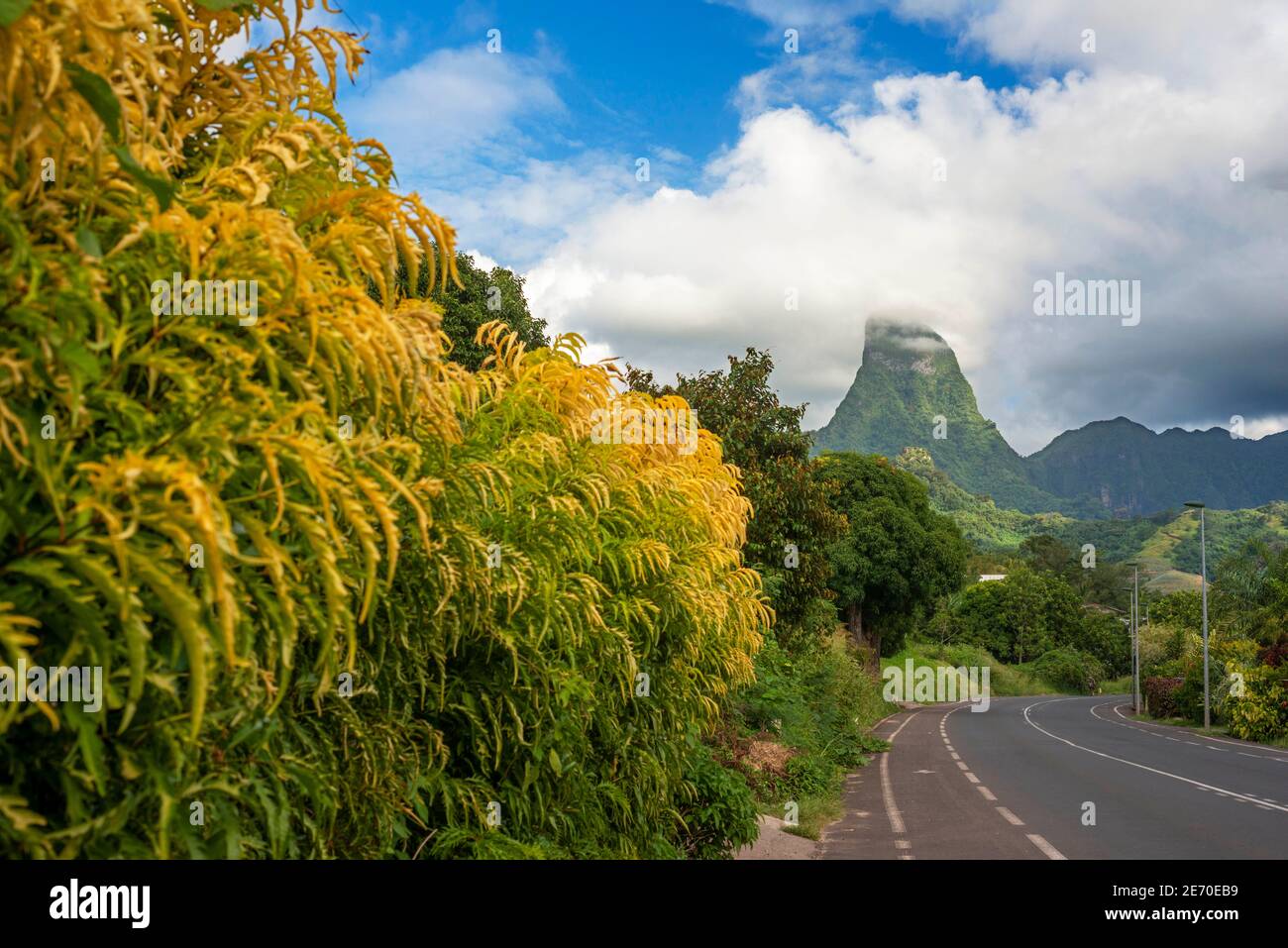 February 2020 - Road way in Cook's bay and Paopao valley in Moorea ...