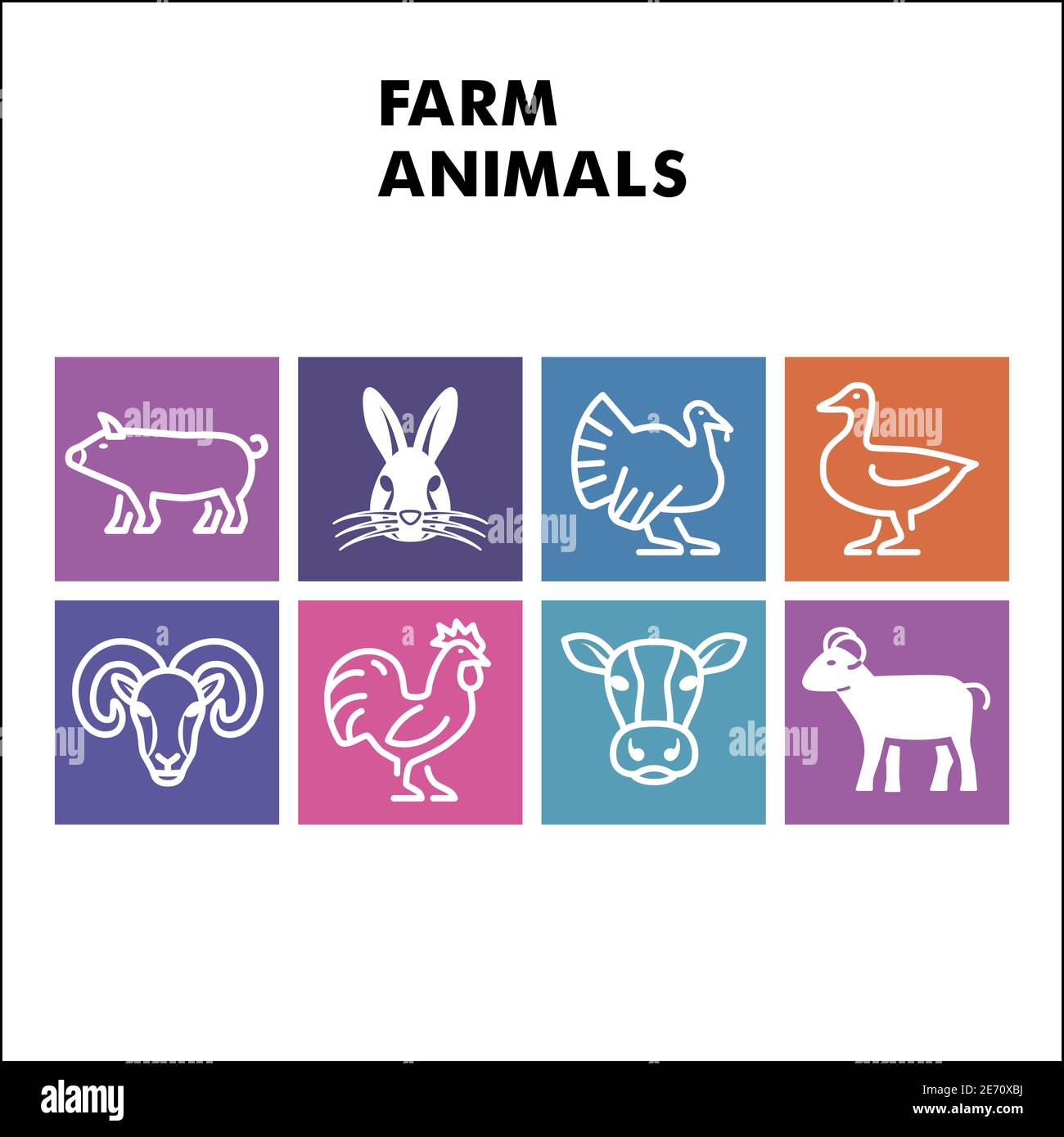 Modern Farm animals Infographic design template. Domestic animal ...