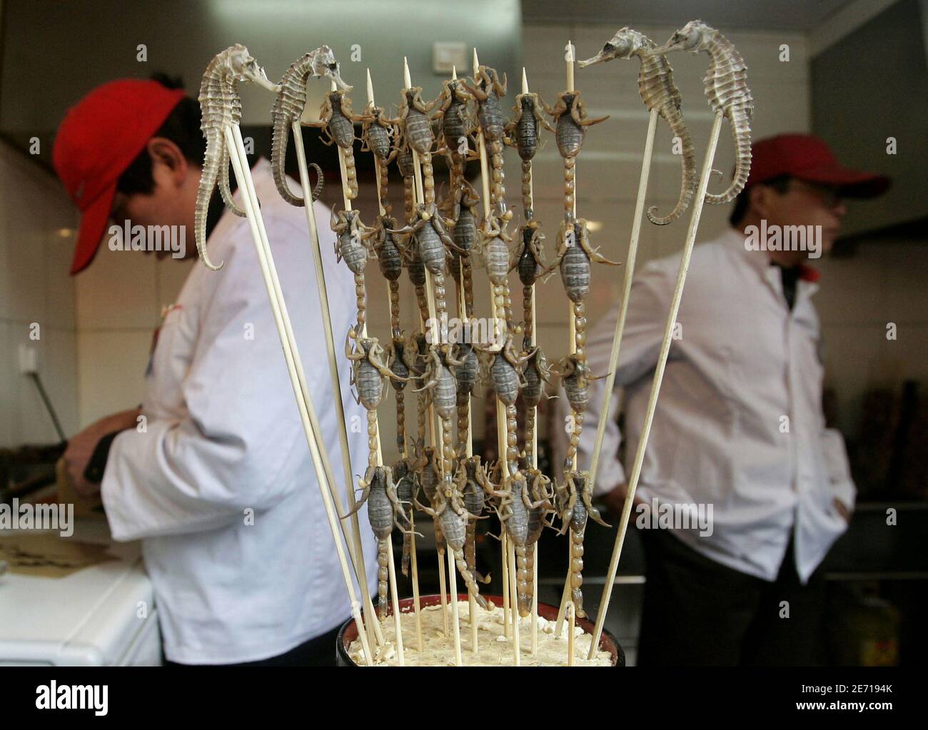 Chinese stick insects hi-res stock photography and images - Alamy