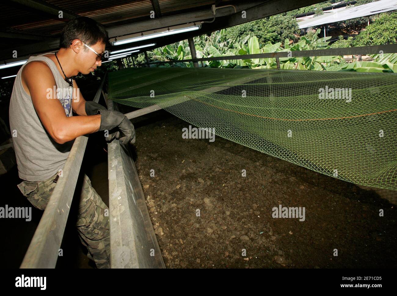 Human waste fertilizer hi-res stock photography and images - Alamy
