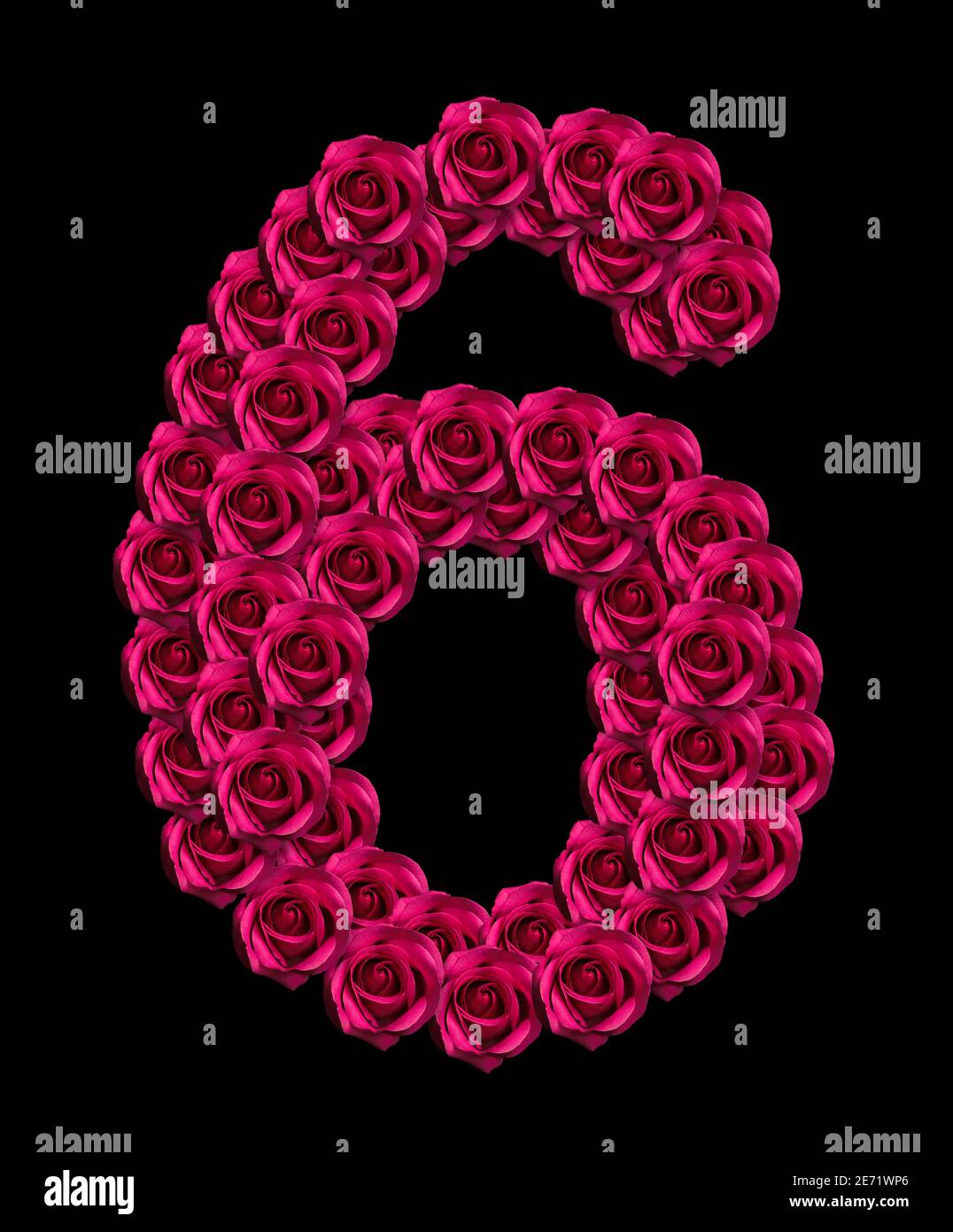 love concept image of number 6 made of pink roses isolated on black ...