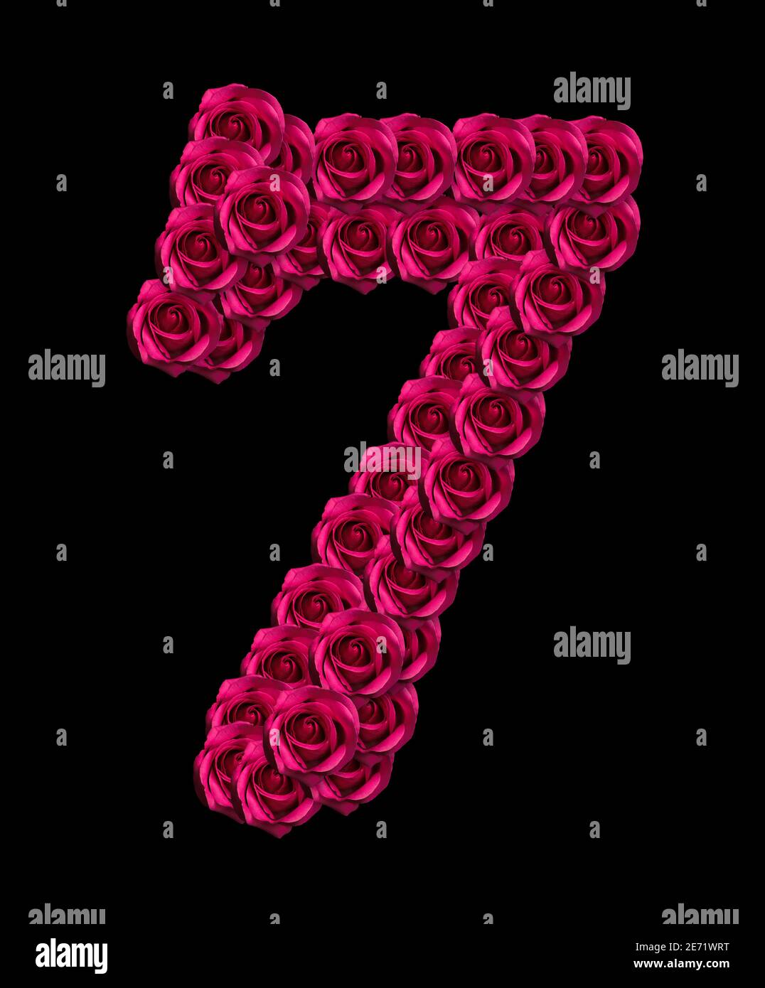 love concept image of number 7 made of pink roses isolated on black ...