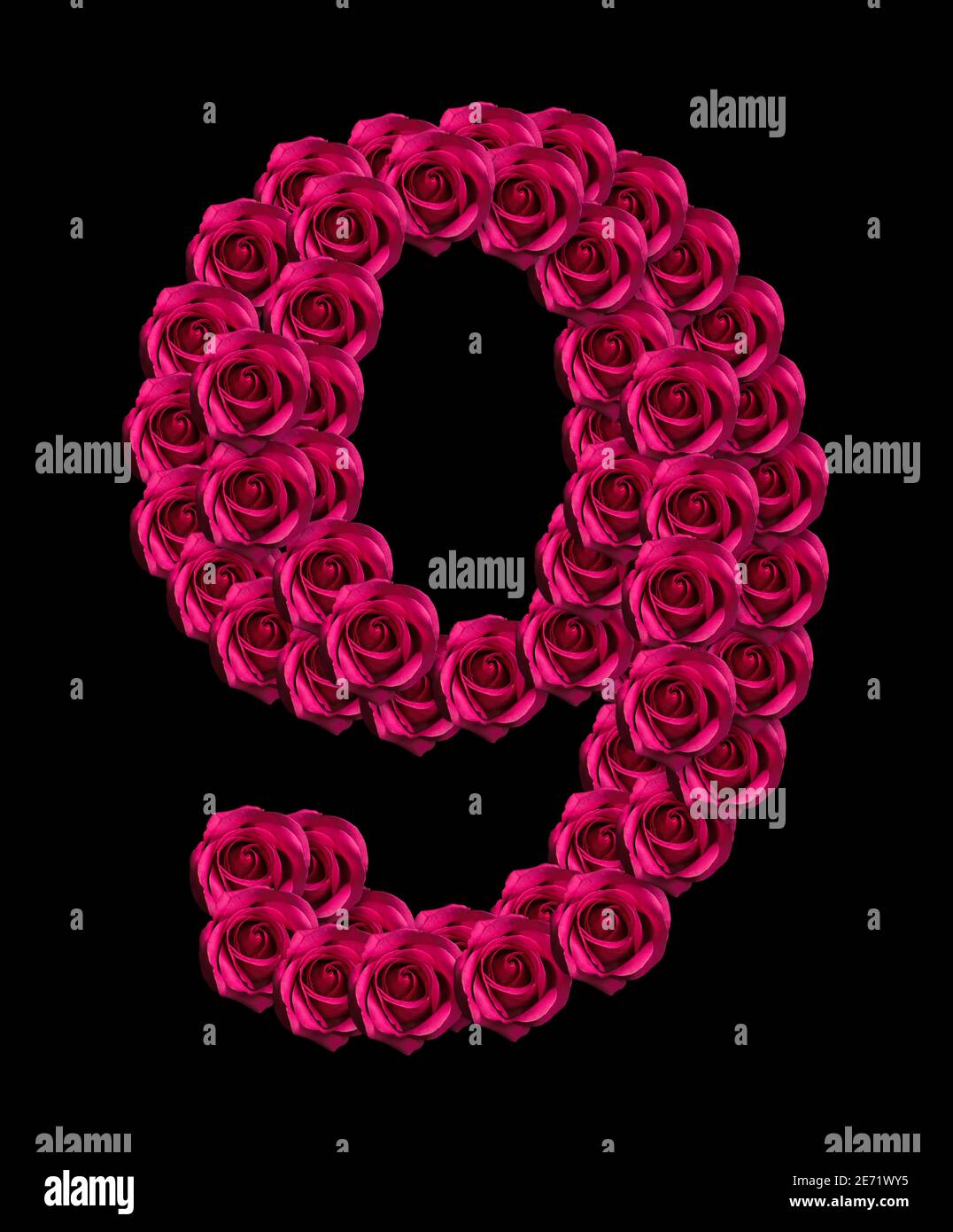 love concept image of number 9 made of pink roses isolated on black ...