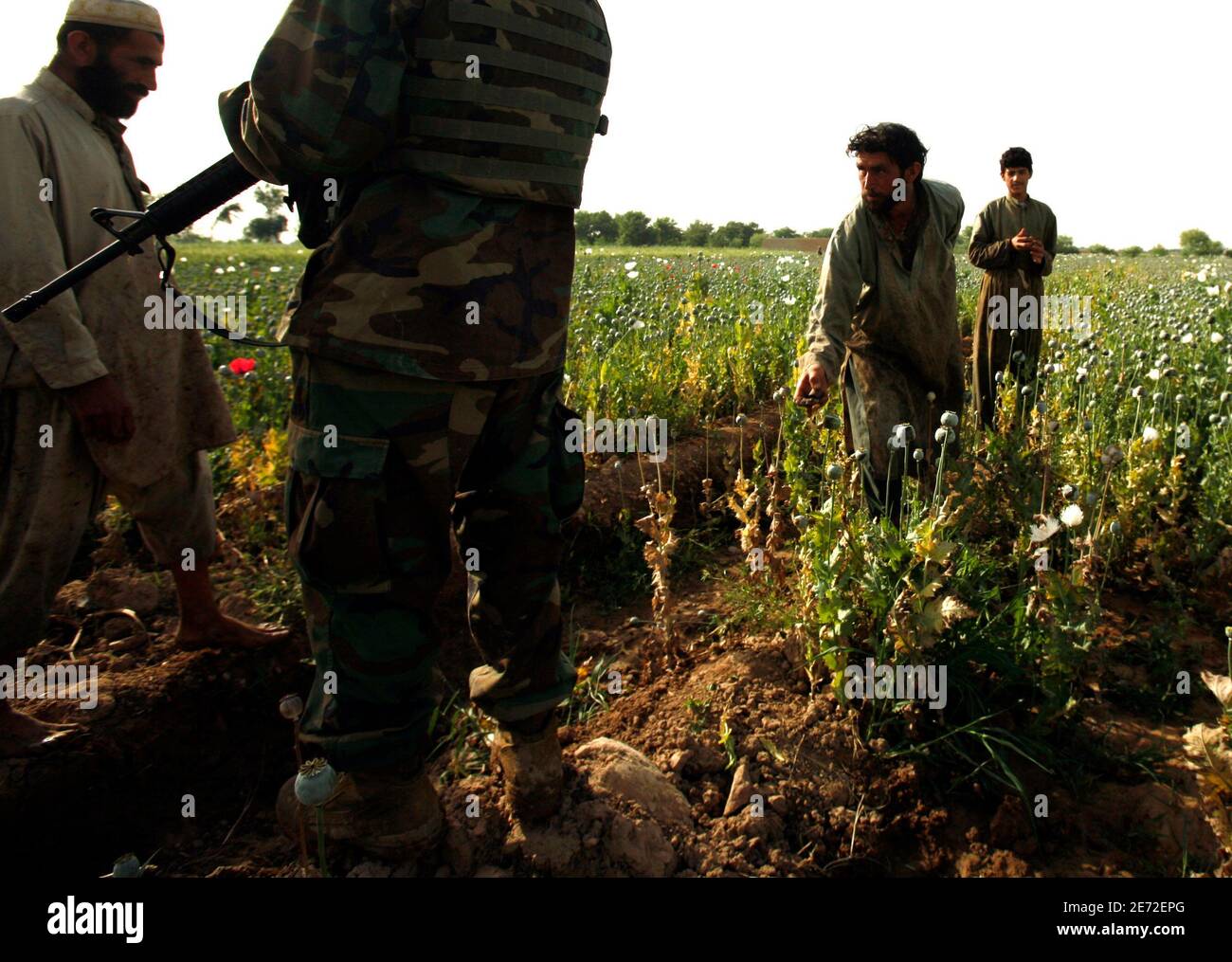 Afghan farmers hi-res stock photography and images - Alamy