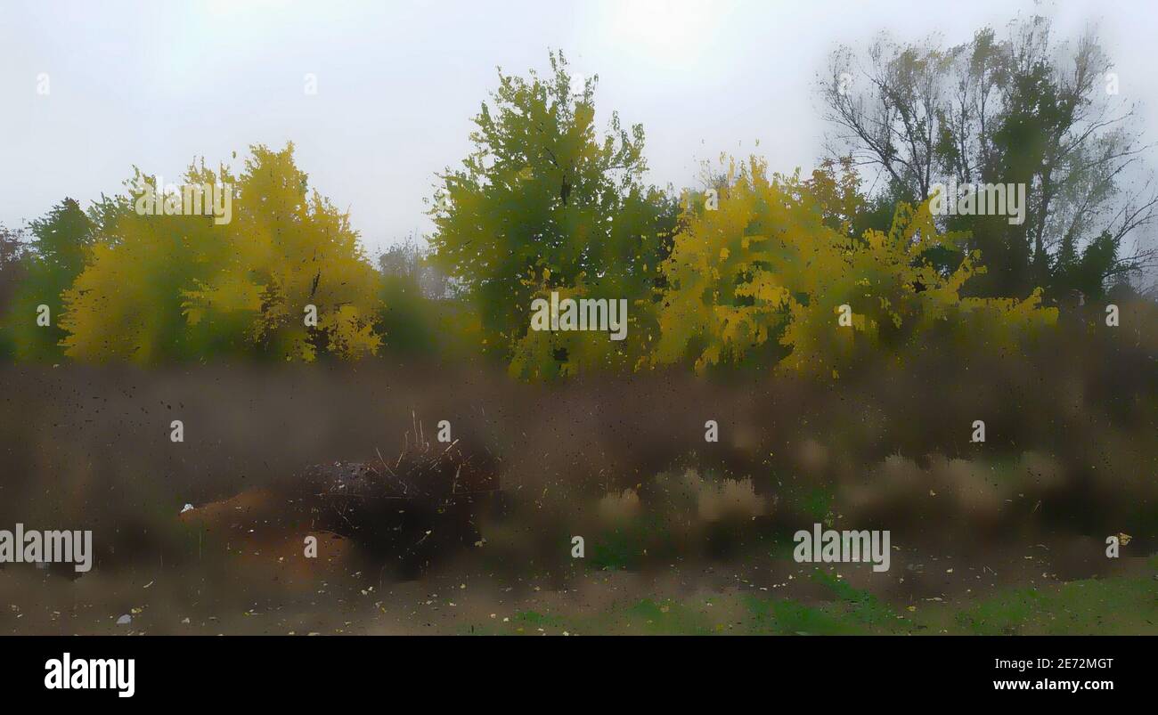 Autumn beginnings. Late summer early fall landscape. Beautiful, lush ...