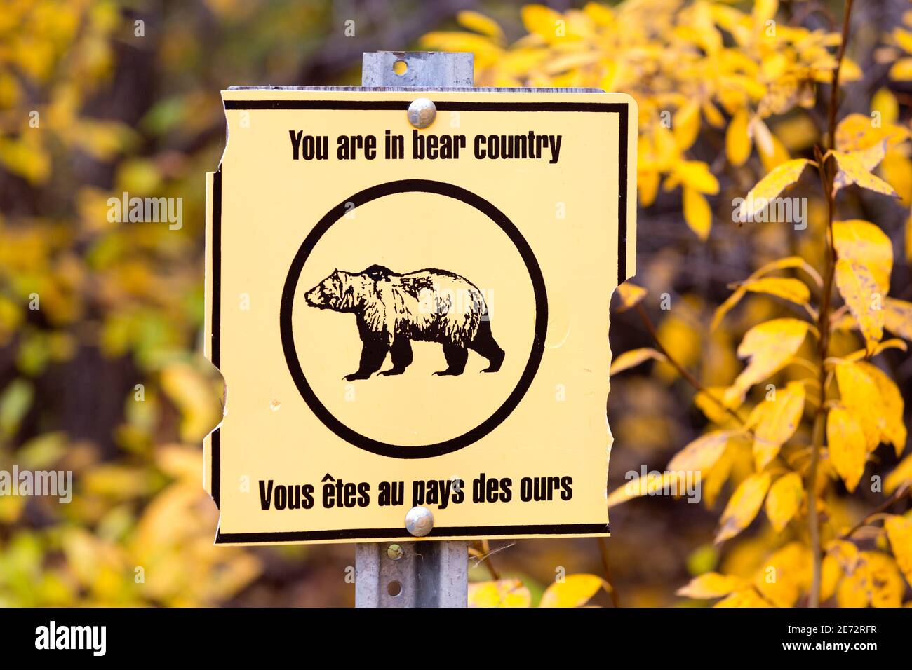 Bear country sign hi-res stock photography and images - Alamy