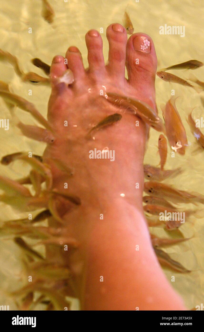Fish feet singapore hi-res stock photography and images - Alamy