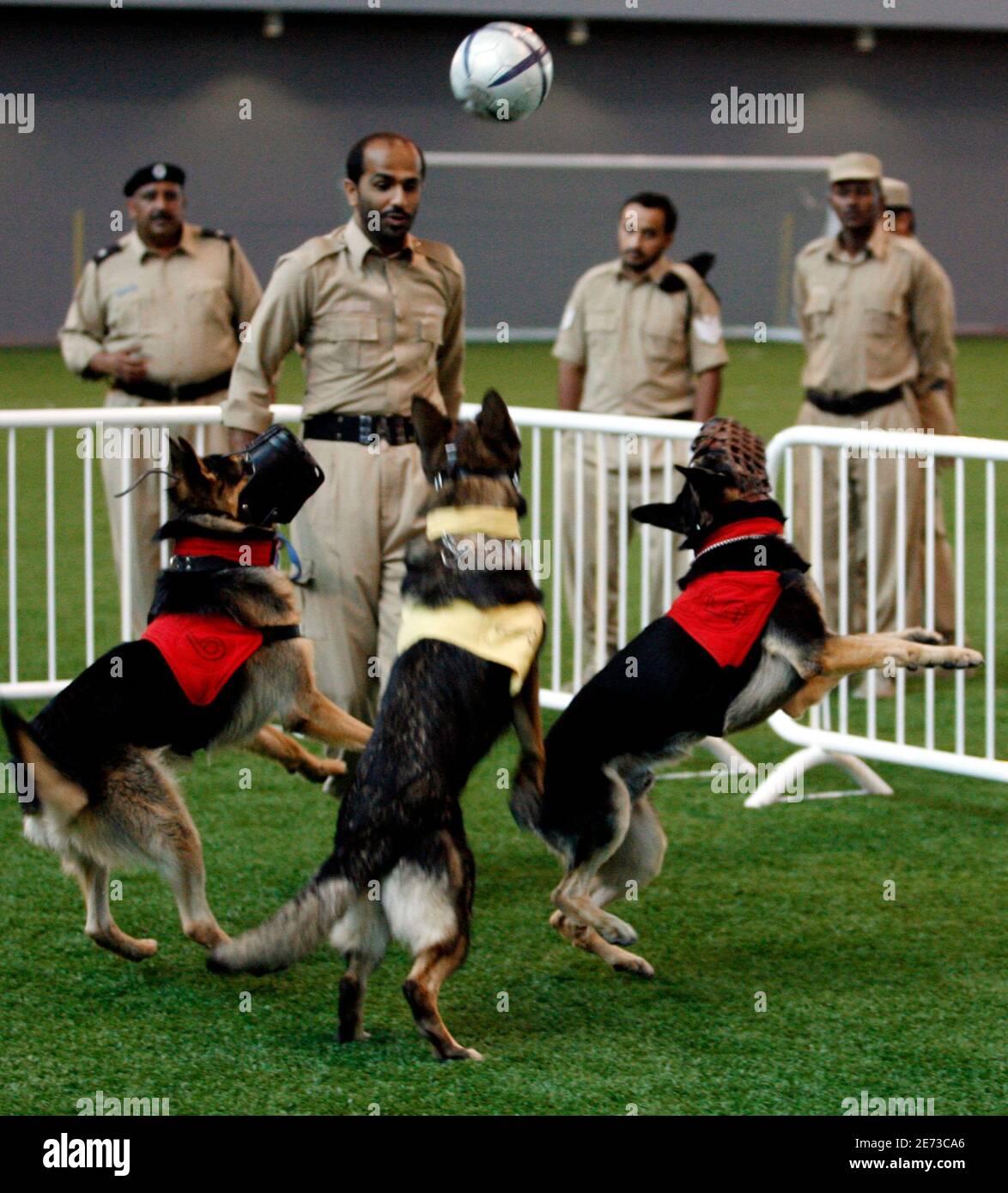 Dog between railing hi-res stock photography and images - Alamy