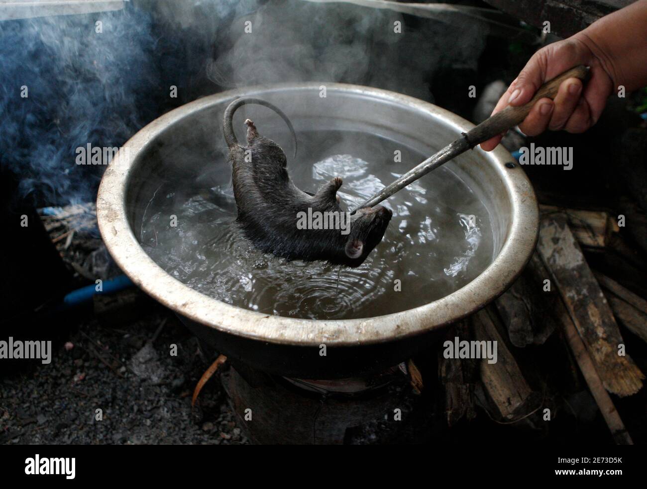 Making ends meat High Resolution Stock Photography and Images - Alamy