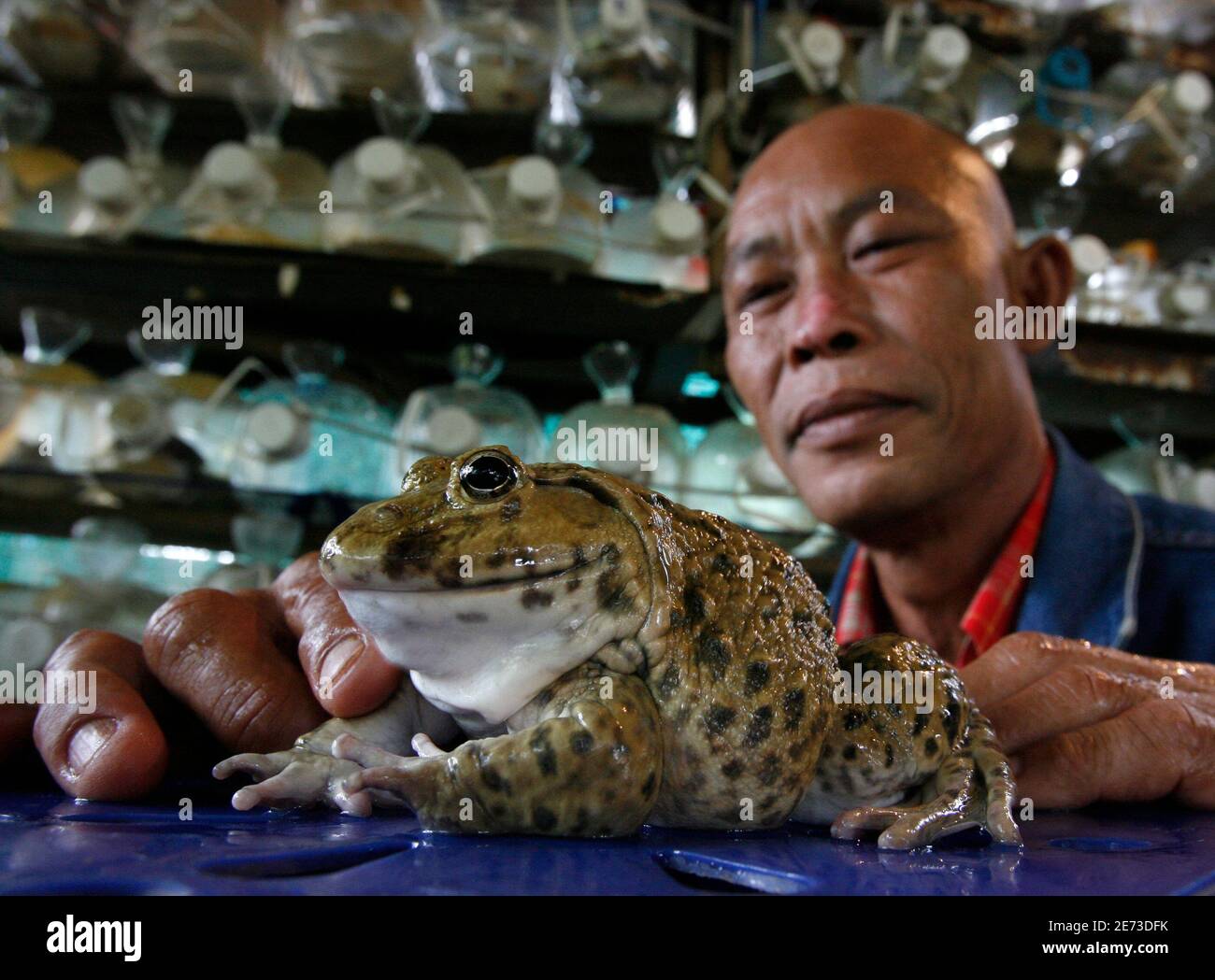 162 50 hi-res stock photography and images - Alamy