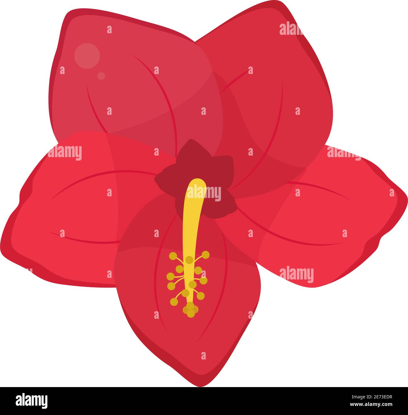 hibiscus hawaiian flower icon over white background, colorful design ...