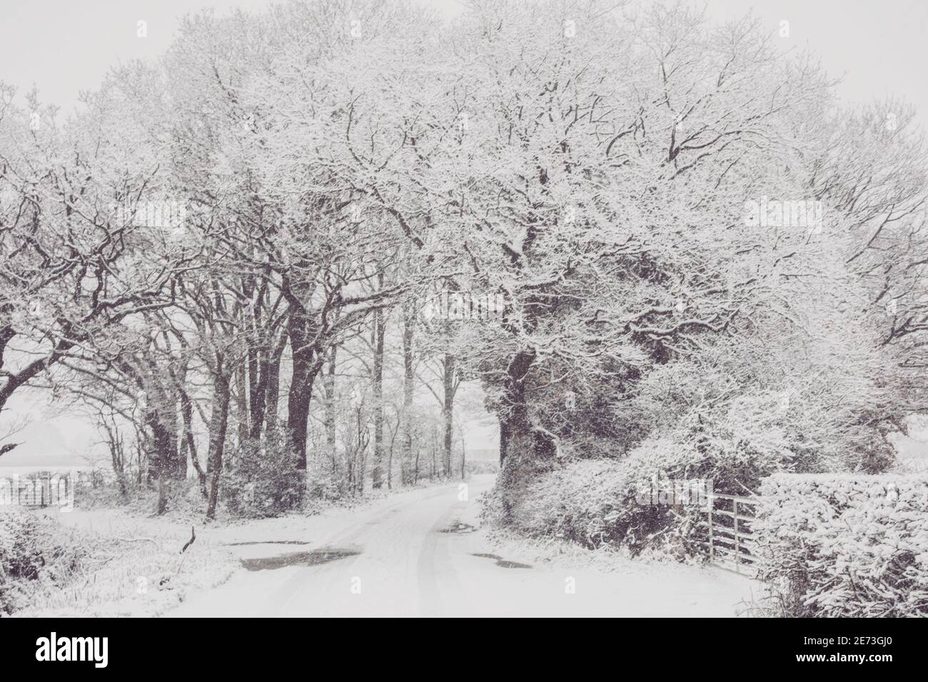 Rural winters scene hi-res stock photography and images - Alamy