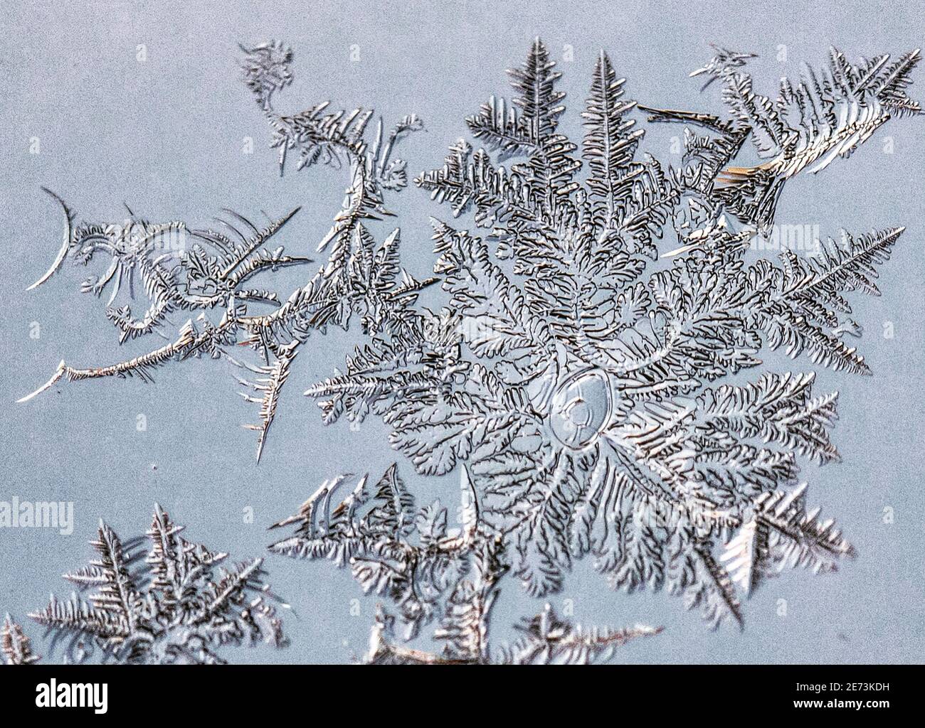 Natural ice crystals pattern forming hi-res stock photography and ...