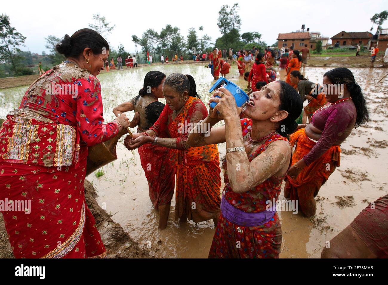 Nepal rice planting festival hi-res stock photography and images - Alamy