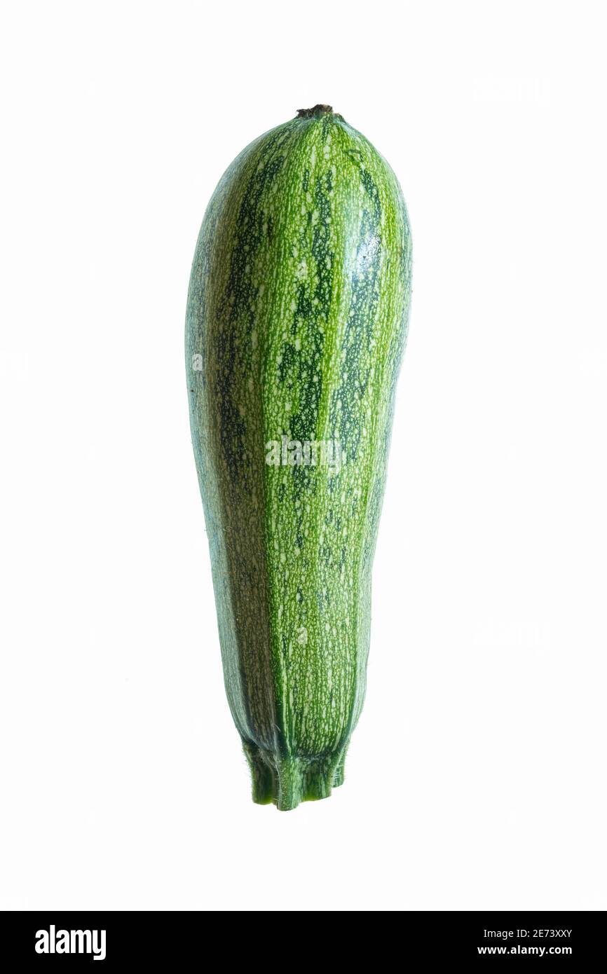 Large courgette zucchini Cut Out Stock Images & Pictures - Alamy
