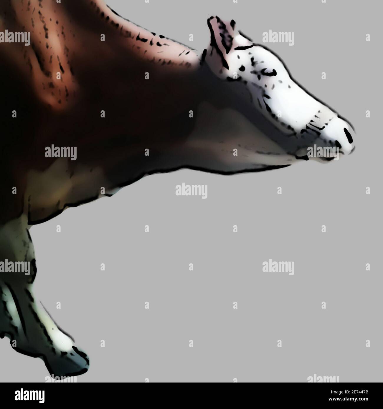 Cow breastfeeding hi-res stock photography and images - Alamy